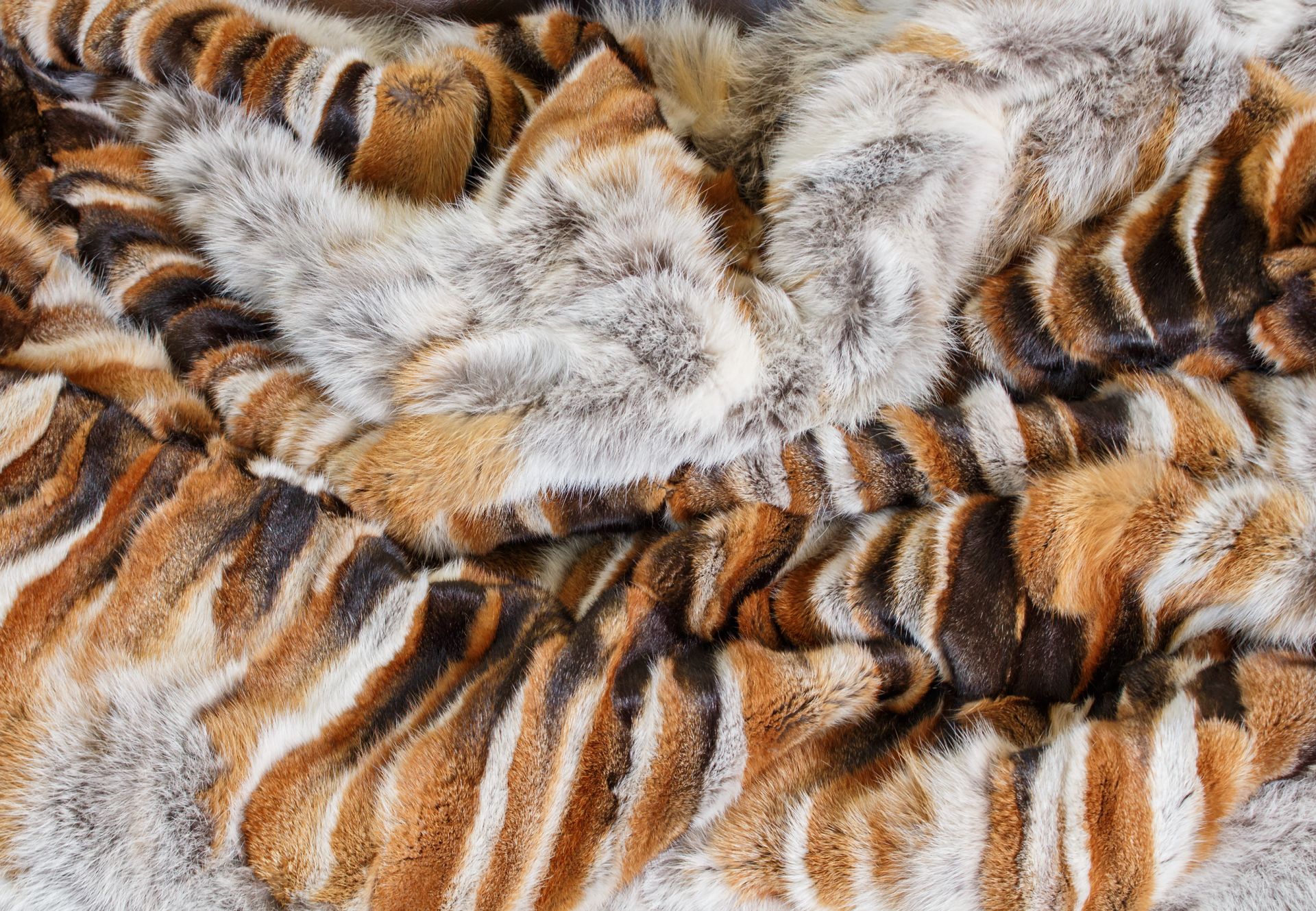 European Red Fox Fur Throw "Dark Type"