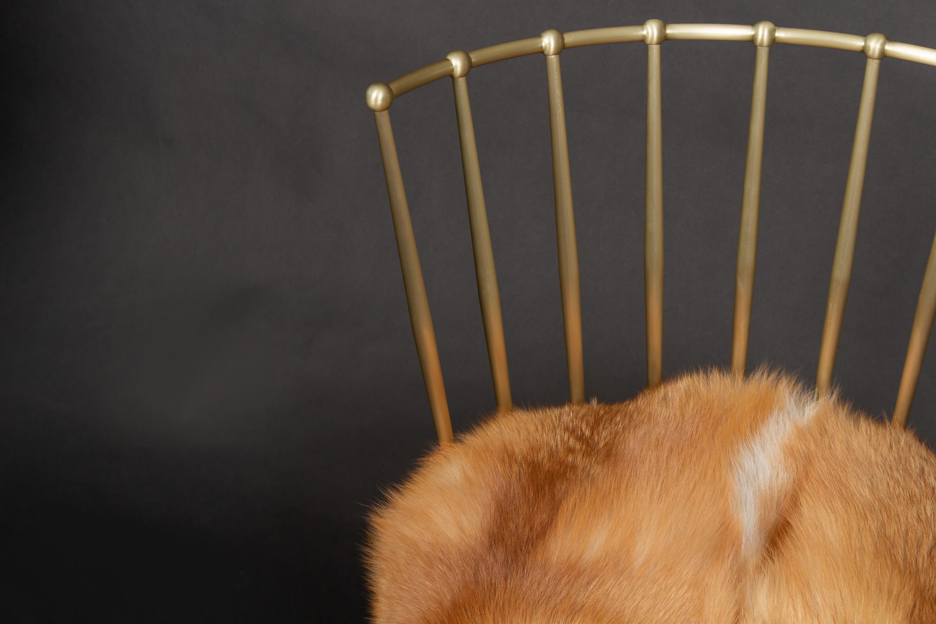 Timeless Red Fox Chair with European Foxes - Wild Fur