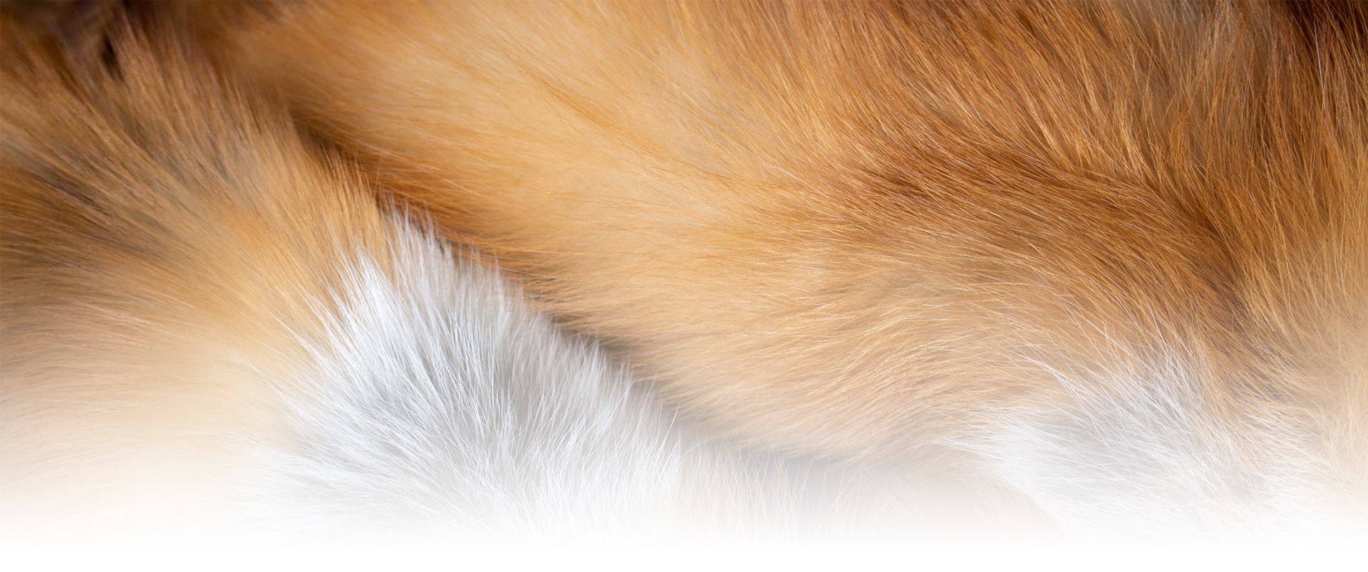 Real Fur Blankets and Fur Throws - Genuine Fur Pillows