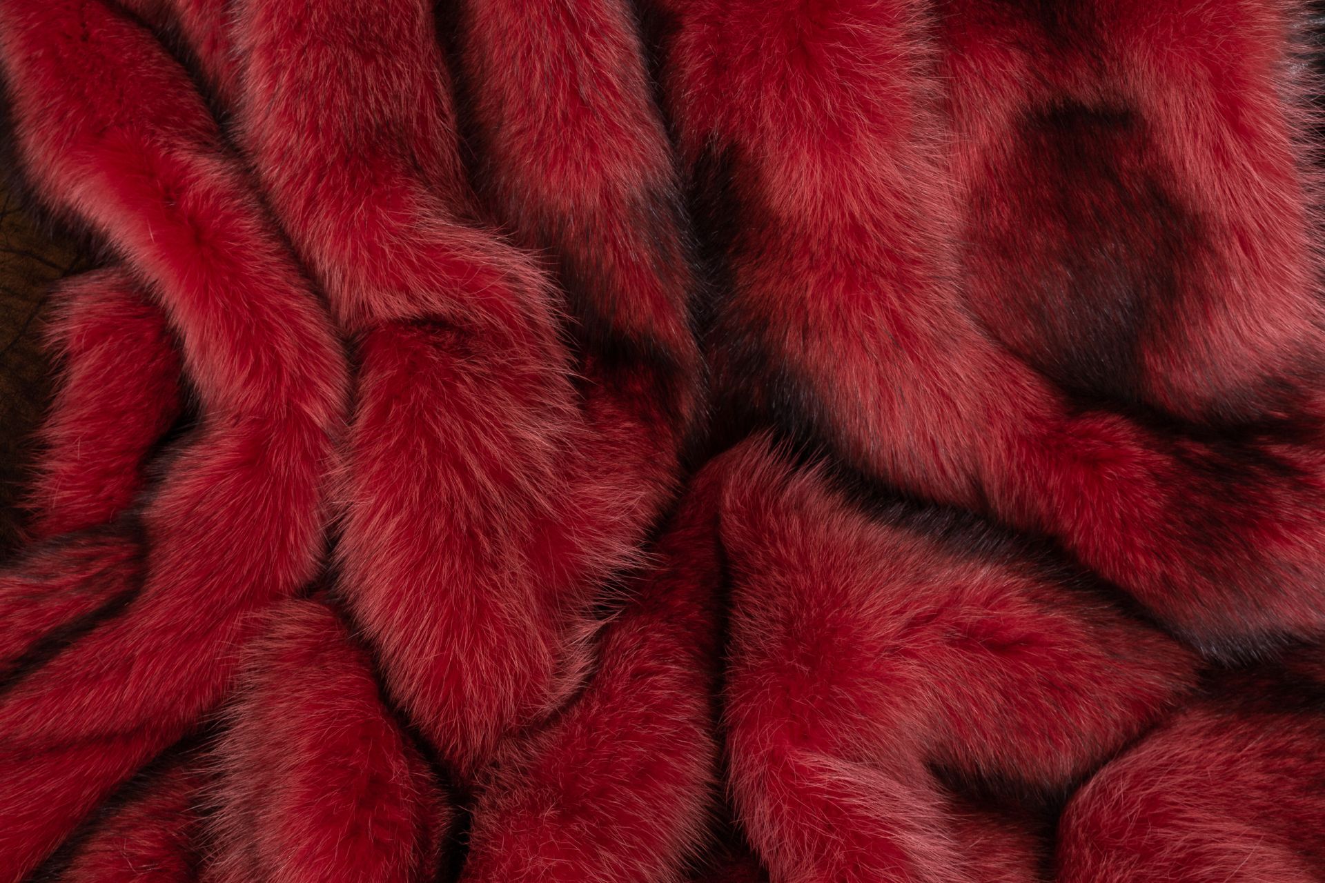 Red Raccoon Fur Blanket - Canadian Raccoons | Paustian