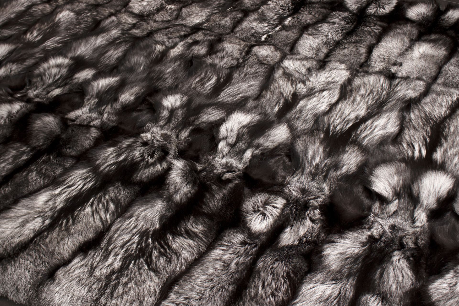 Scandinavian Silver Fox Fur Carpet - Genuine Fox Fur