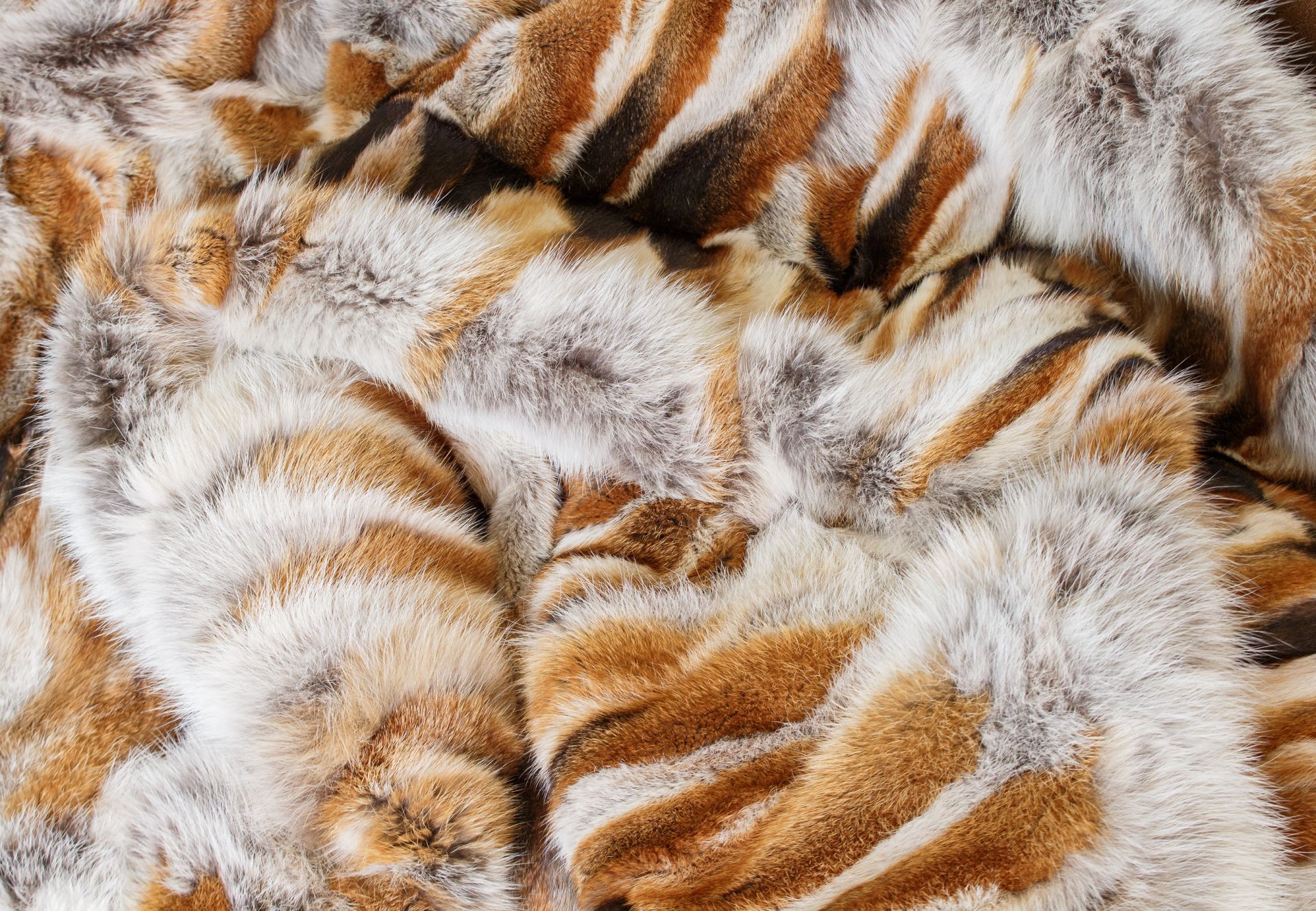 European Red Fox Fur Throw "Dark Type"