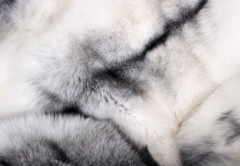 Shadow Blue Frost Fox Throw, Arctic Marble | Lars Paustian