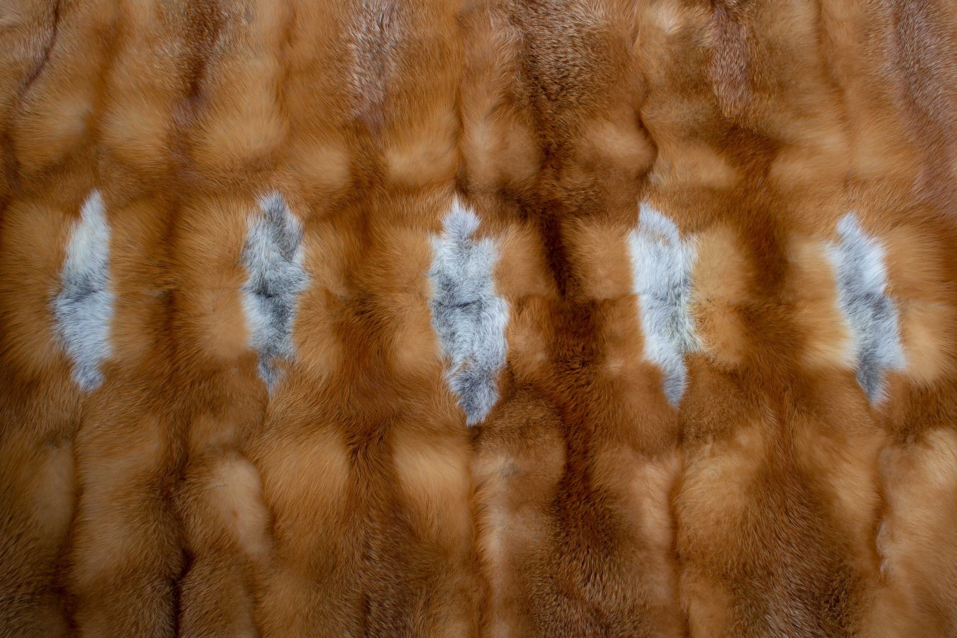 Canadian Red Fox Fur Rug - Fur Harvesters