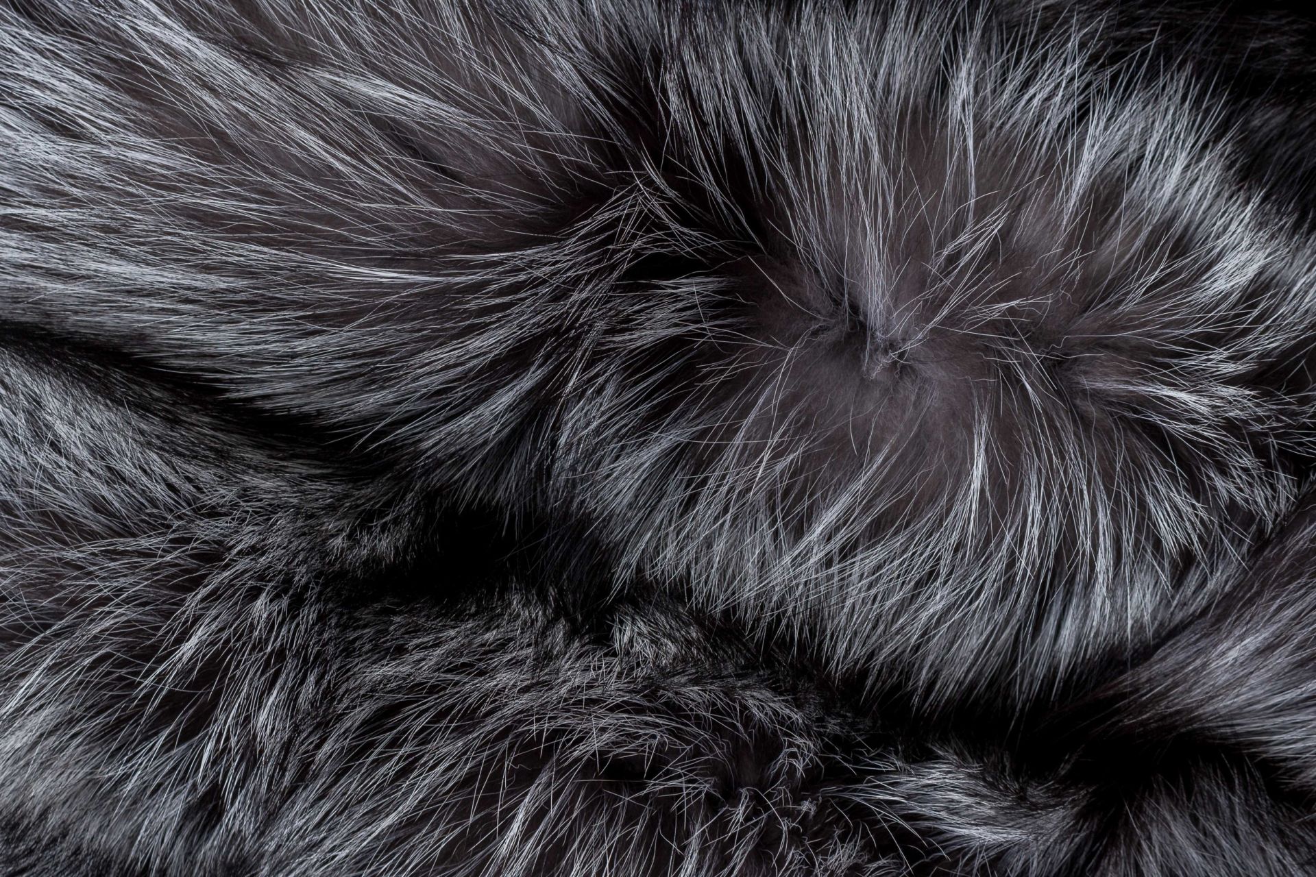 SAGA Silver Fox Fur Blanket in natural color | Lars Paustian