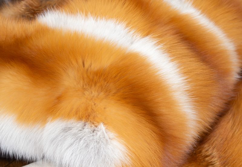 Rustical Canadian Red Fox Fur Plaid - 100% Genuine Fur
