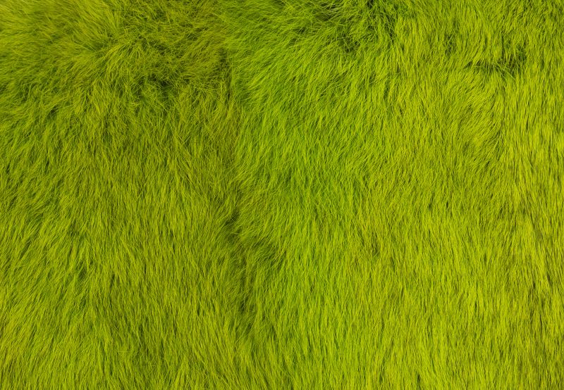 Cozy Rabbit Fur Cushion in Green - Genuine Fur