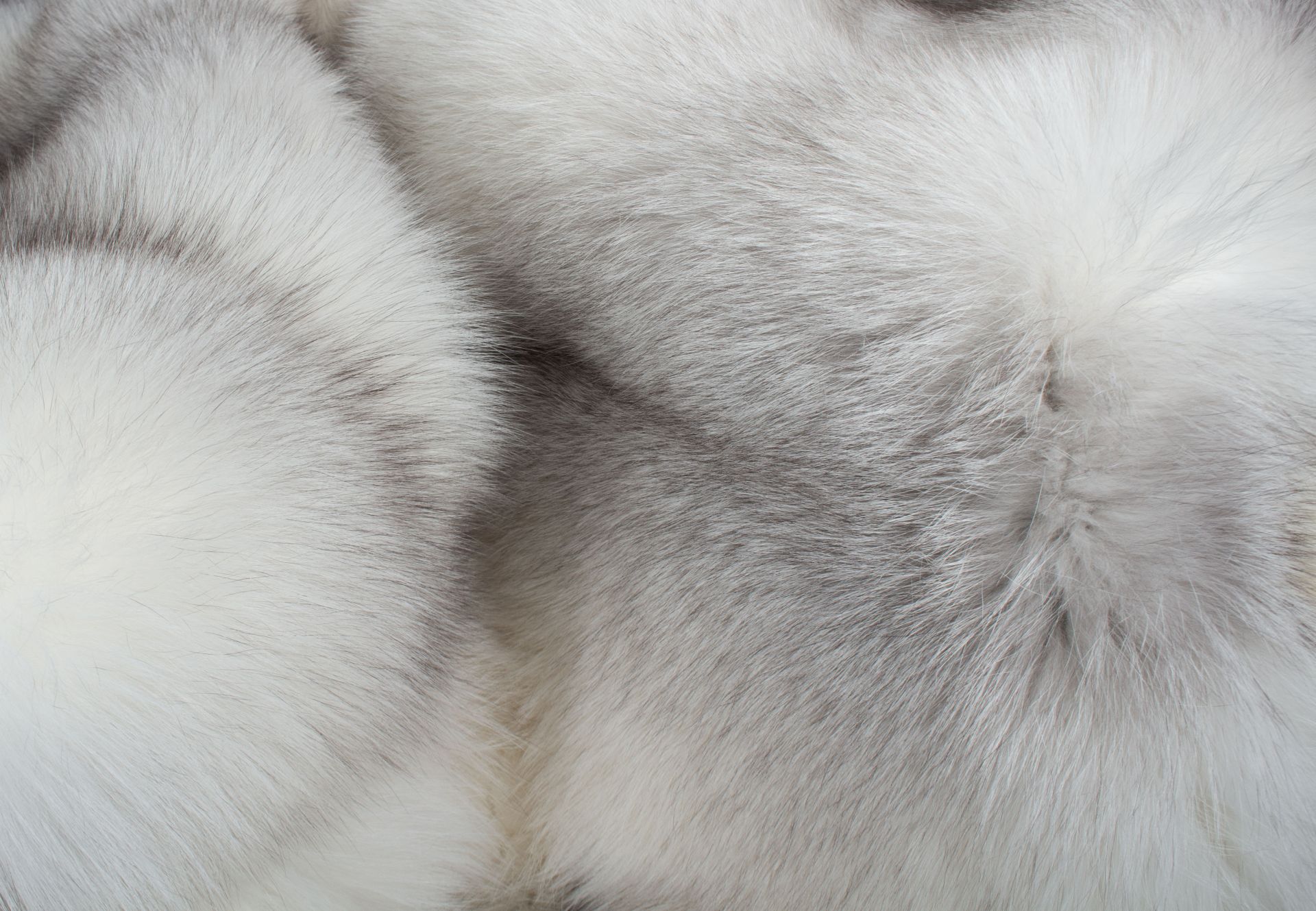 Arctic Marble Frost Fox Fur Blanket - SAGA quality