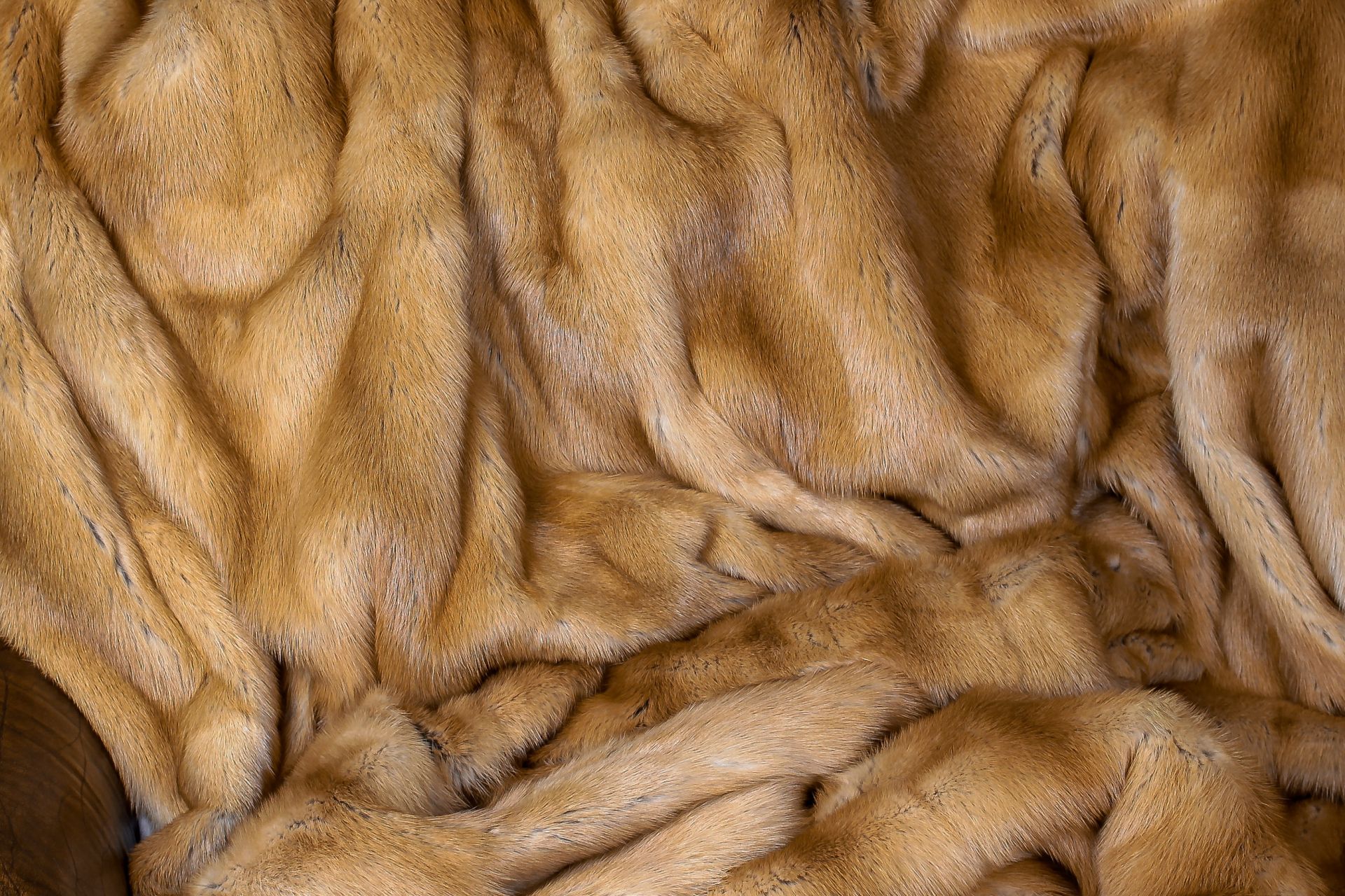 Weasel Fur Blanket - Russian Kolinskys - Lars Paustian