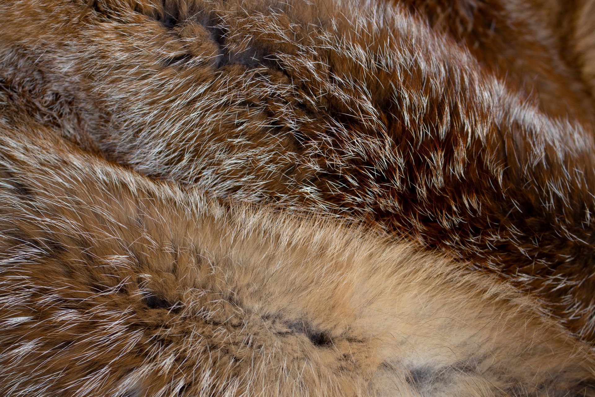 European Red Fox Fur Throw | Paustian Furs
