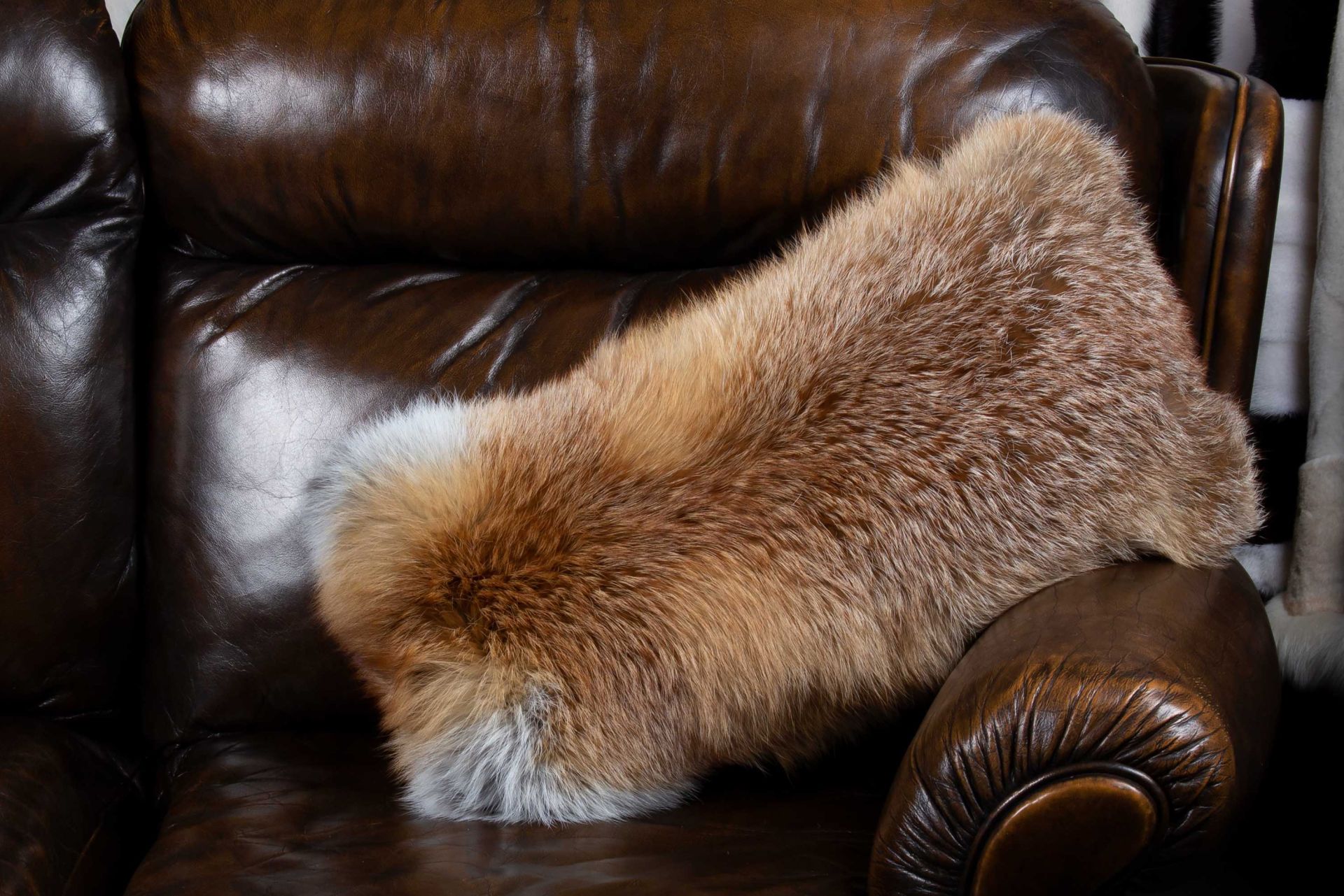 European Red Fox Fur Throw | Paustian Furs