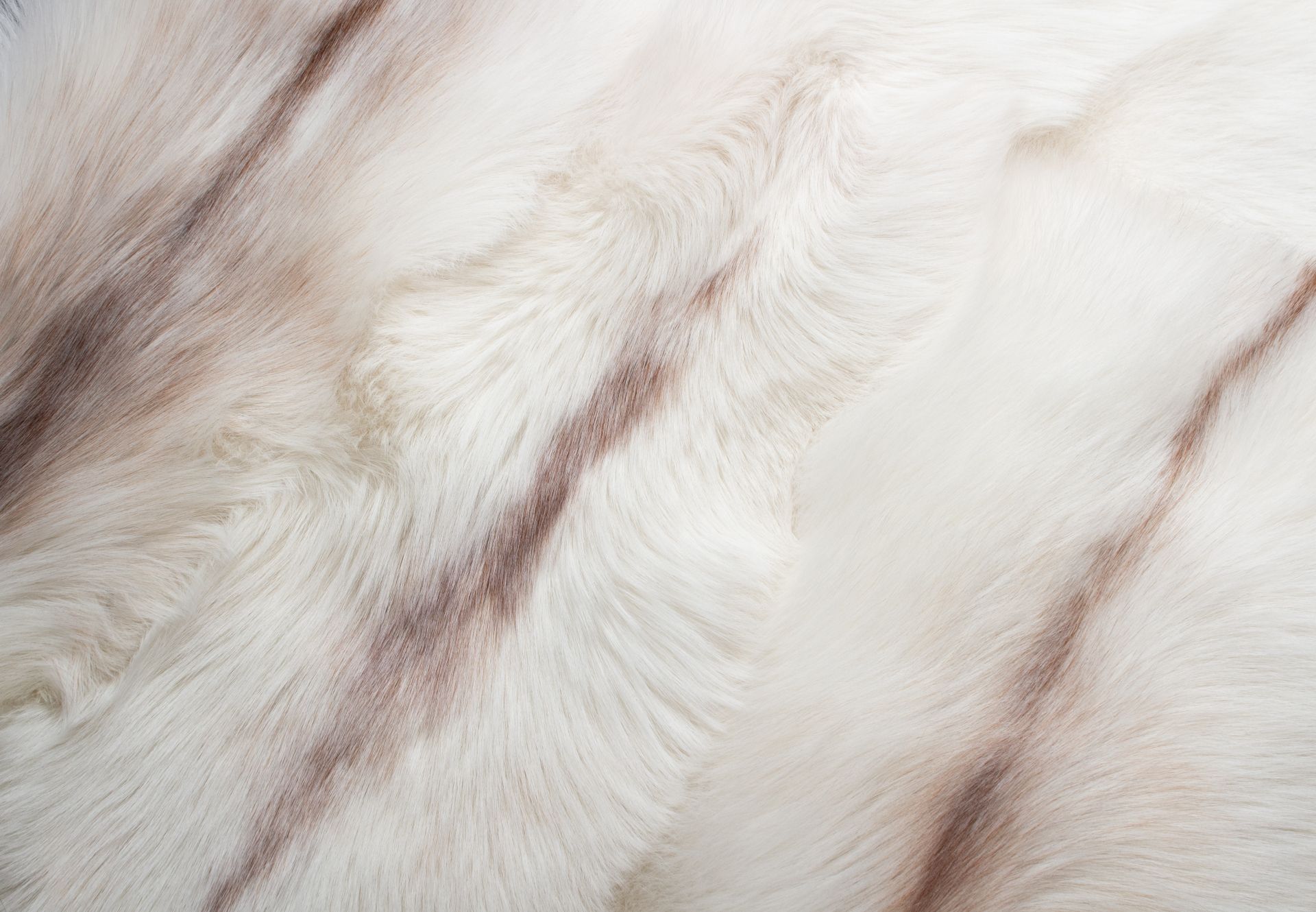 Noble Sun Glo Fur Carpet | Lars Paustian