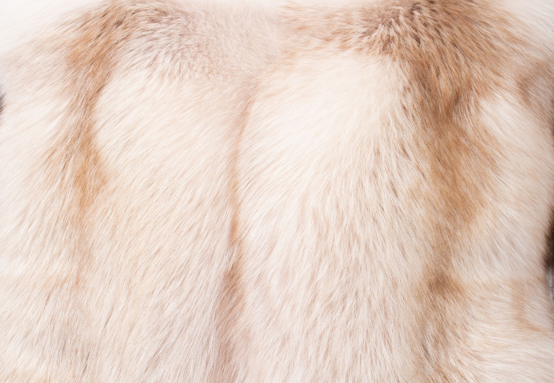 Cream-Brown Arctic Marble Fur Cushion - Real Fur