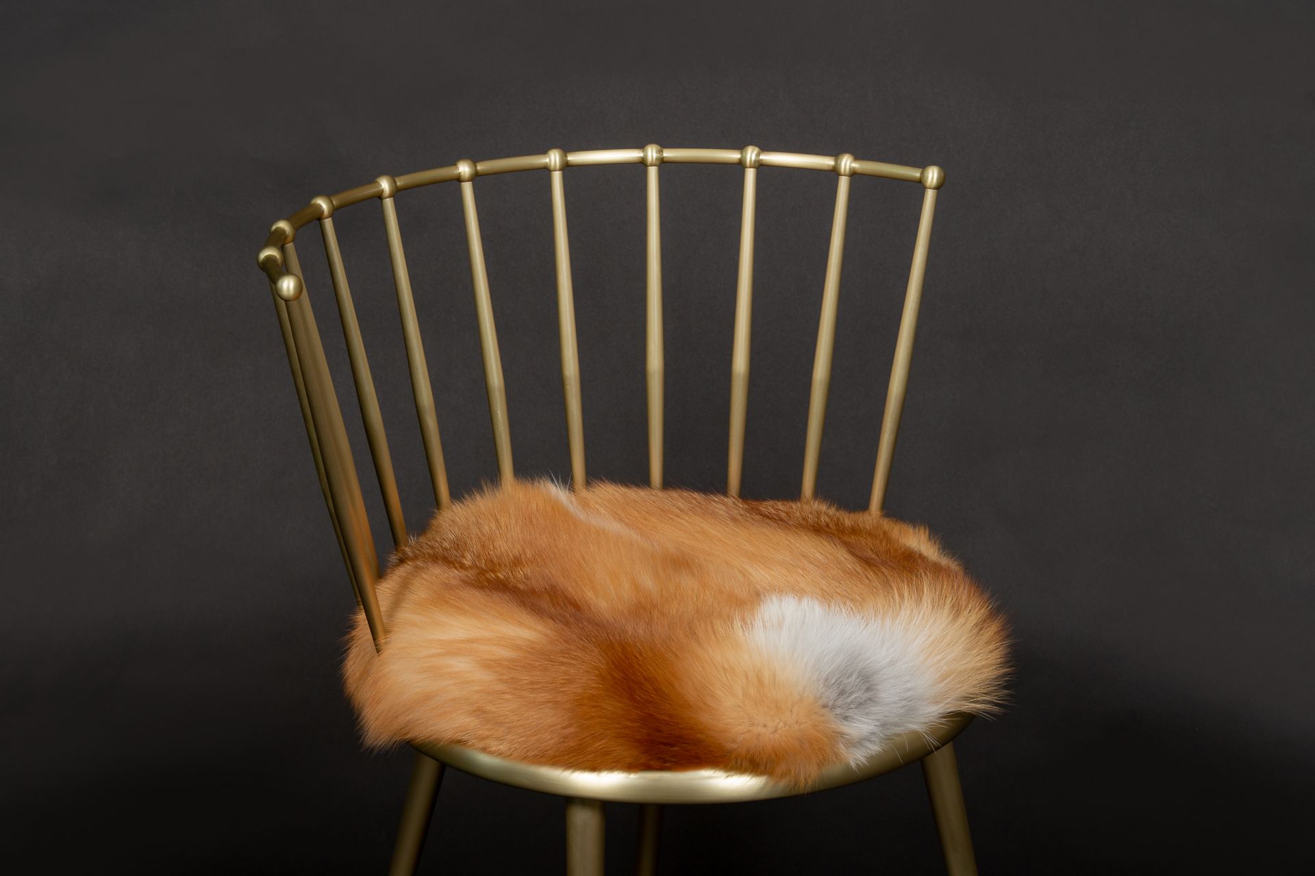 Timeless Red Fox Chair with European Foxes - Wild Fur