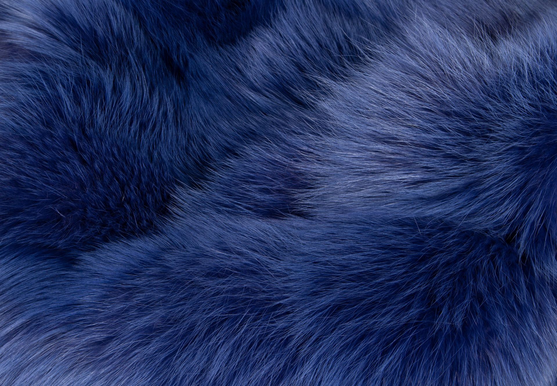 Exquisite Royal Blue Shadow Fox Fur Blanket