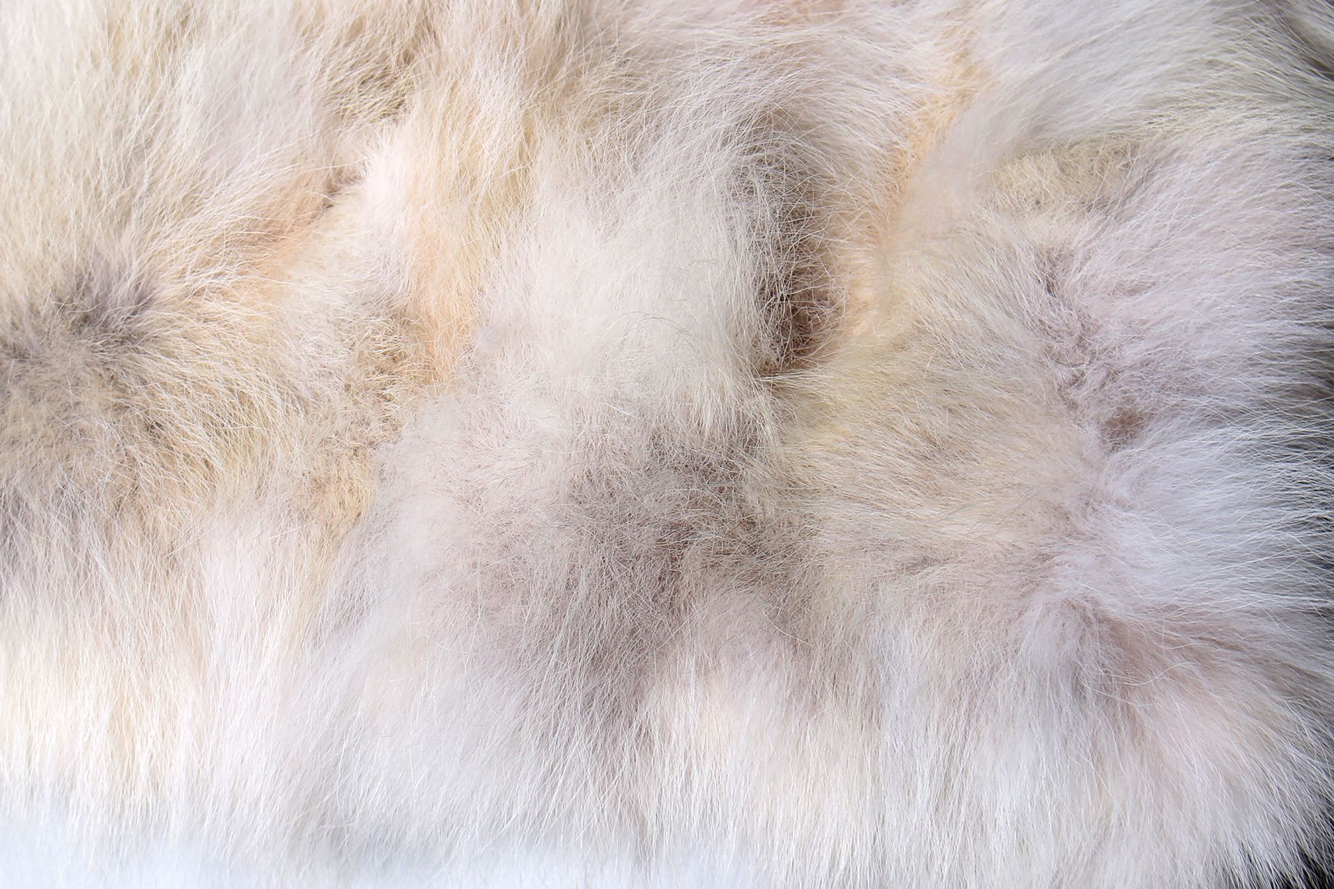 Coyote Fur Sitting Cube with Storage Space | Lars Paustian Furs